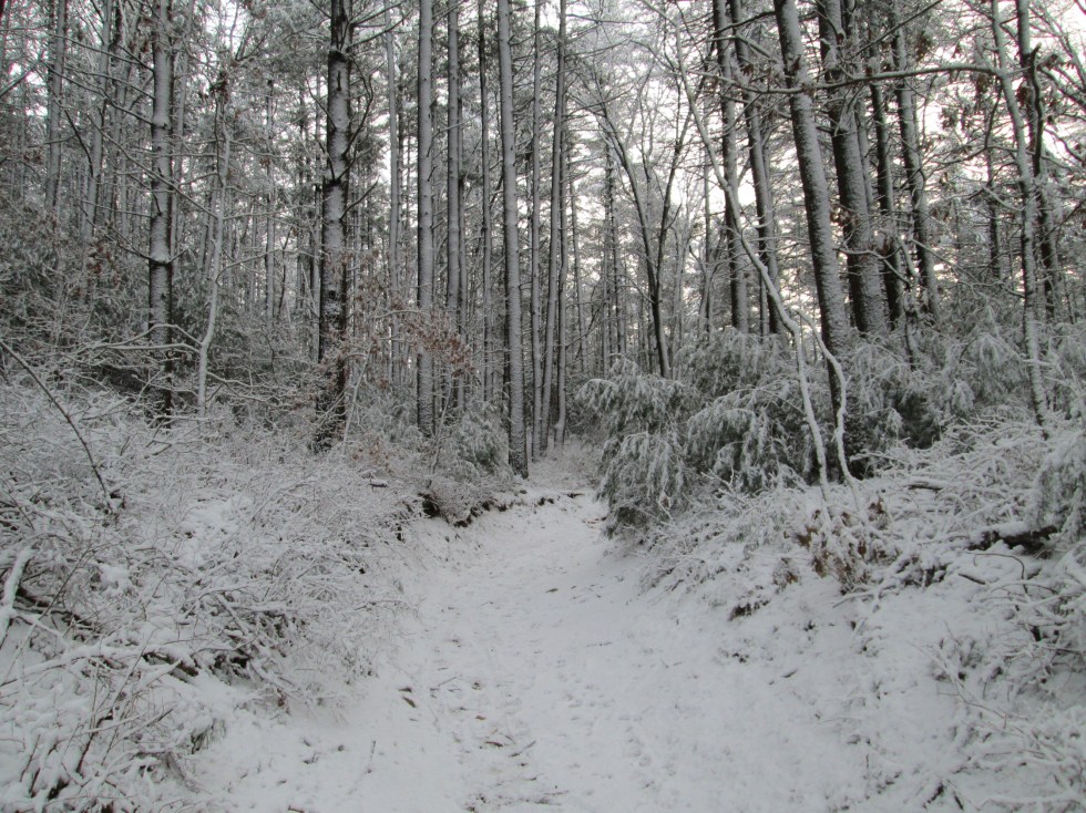 Robert Frost, Christmas, Snowy Woods, and a Pilgrim Trail | Historical ...